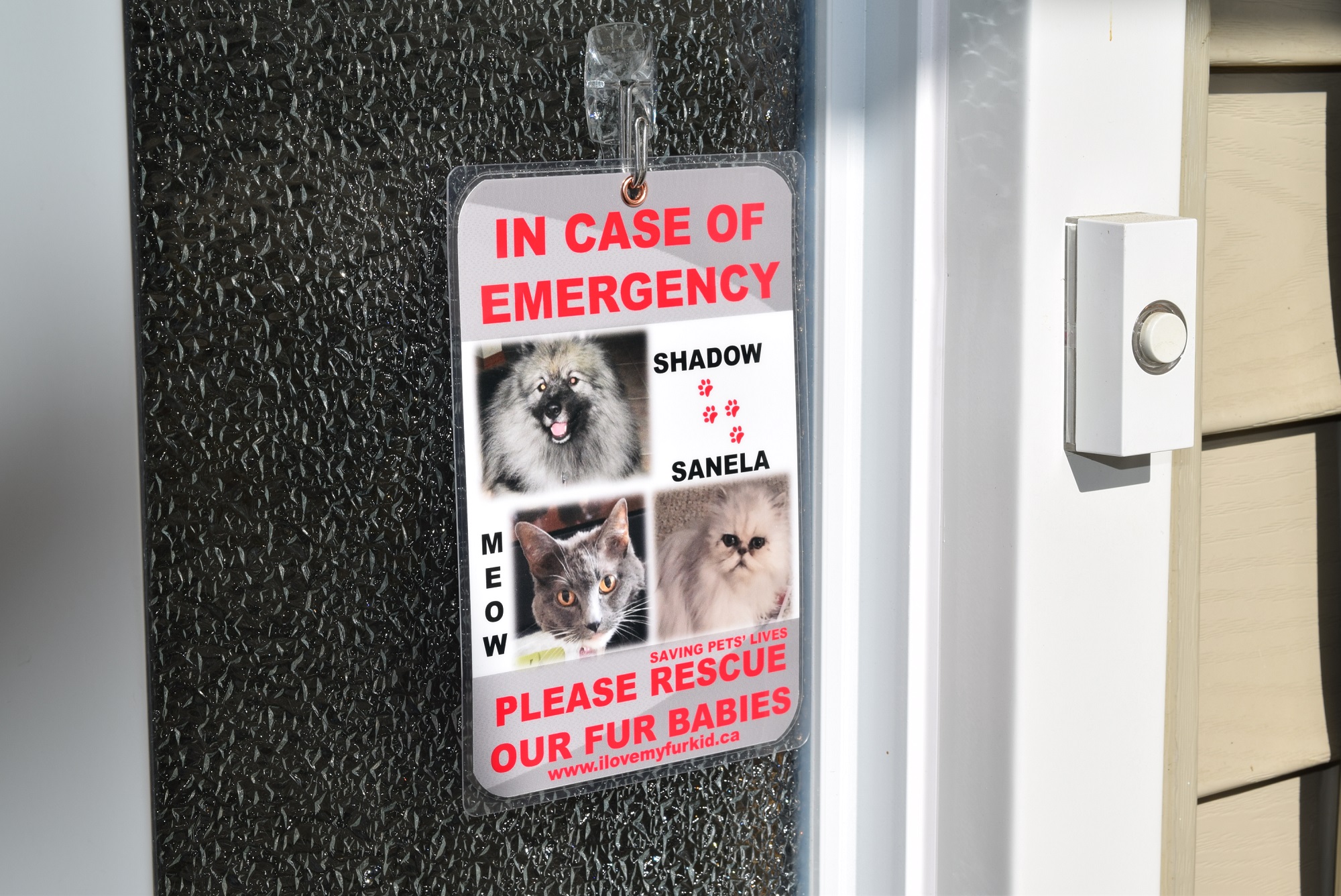 Emergency Pet Signs - I Love My Fur Kid