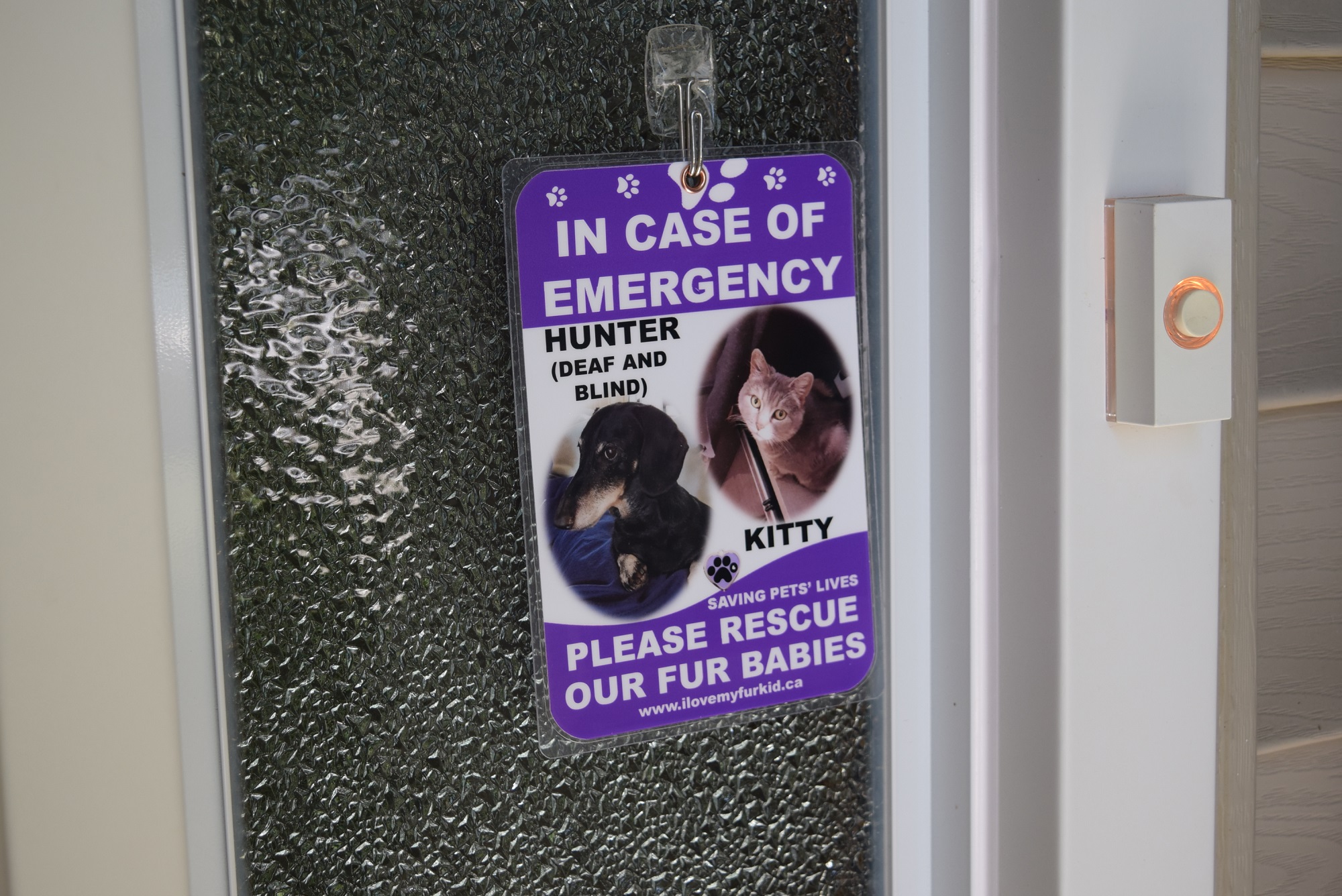 Emergency Pet Signs - I Love My Fur Kid