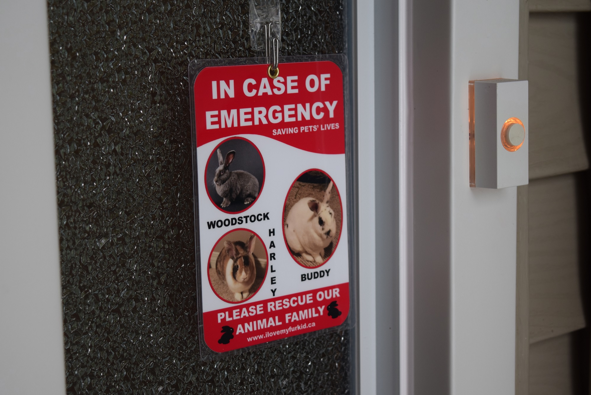 Emergency Pet Signs - I Love My Fur Kid