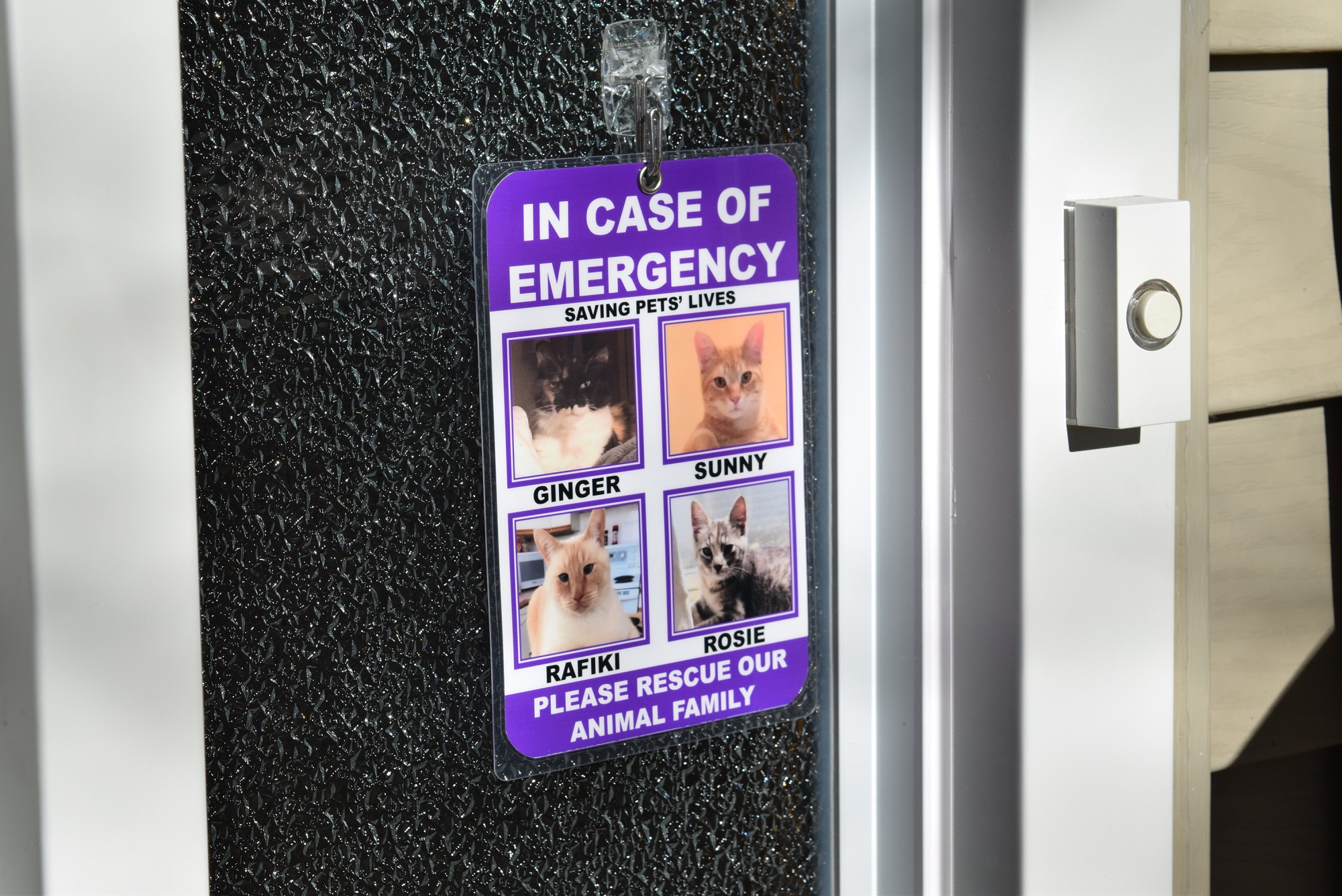 Emergency Pet Signs - I Love My Fur Kid