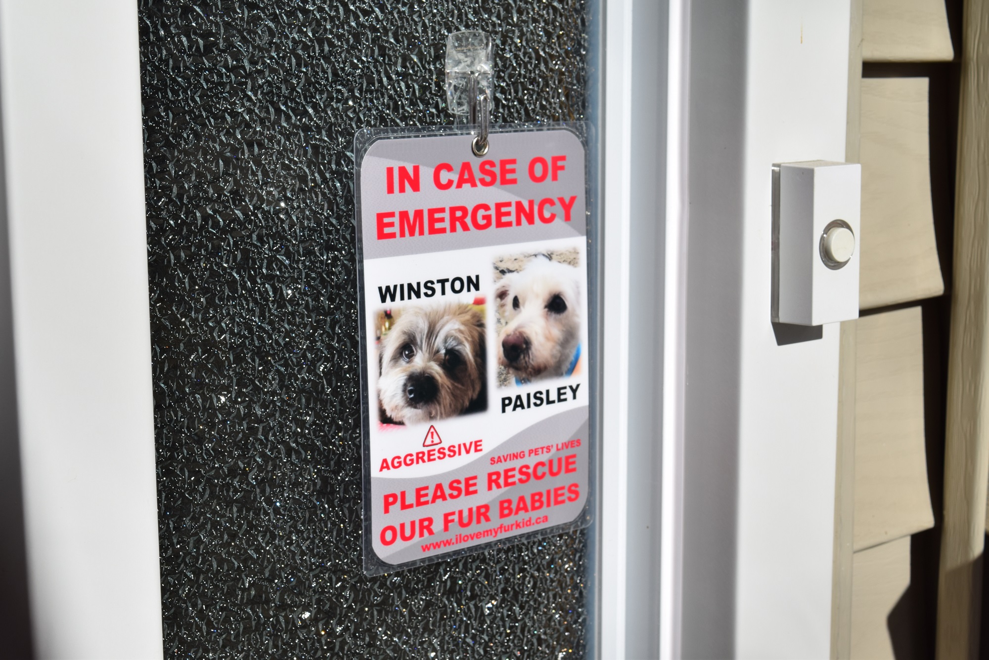 Emergency Pet Signs - I Love My Fur Kid