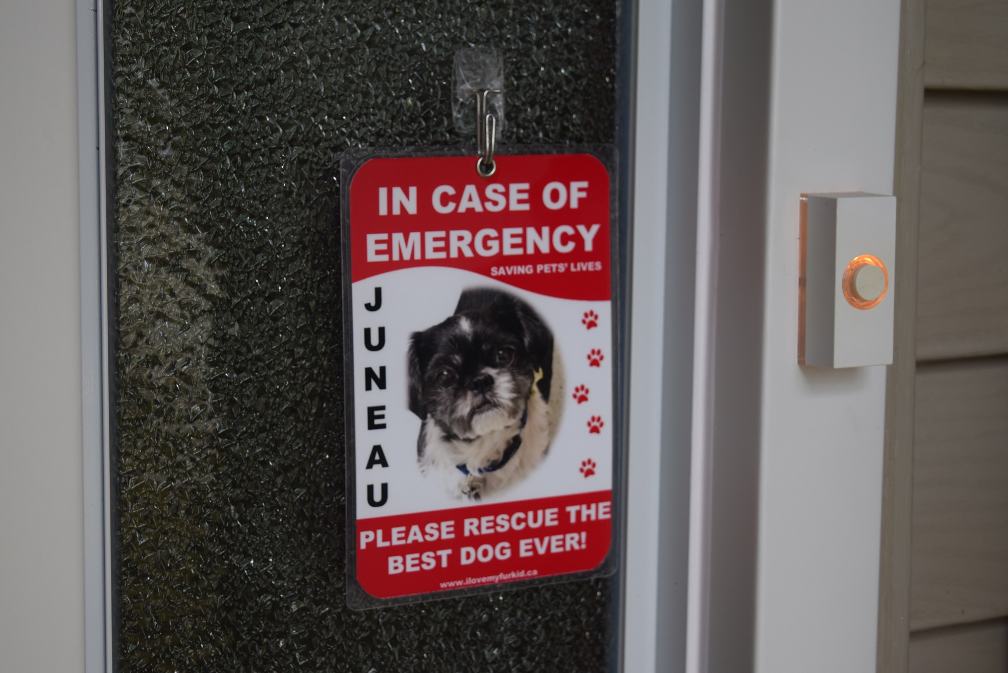 Emergency Pet Signs - I Love My Fur Kid