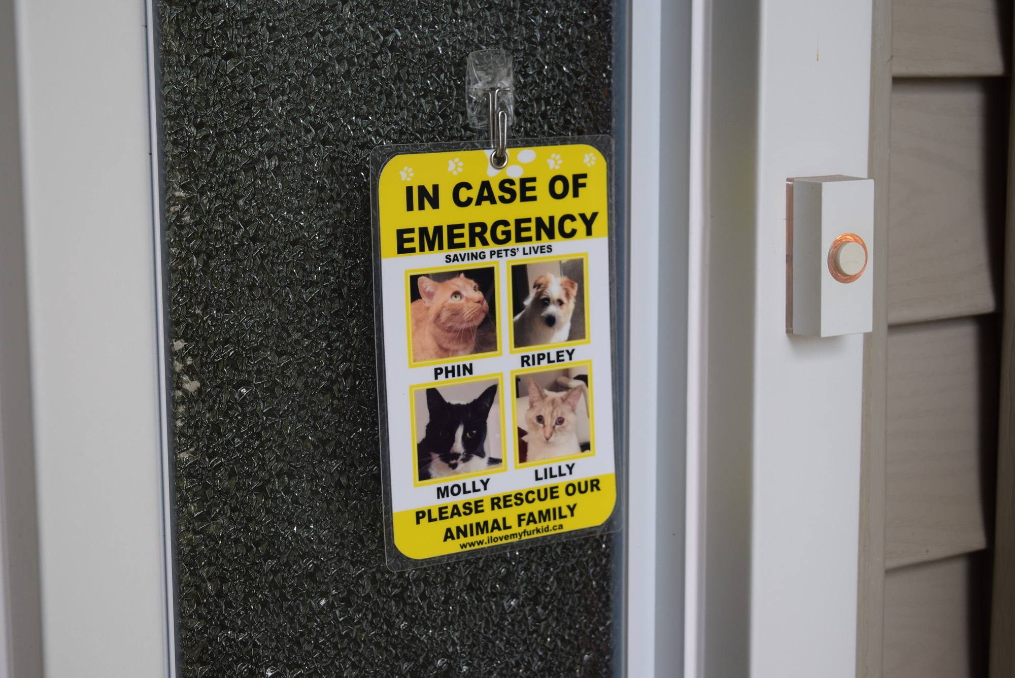 Emergency Pet Signs - I Love My Fur Kid