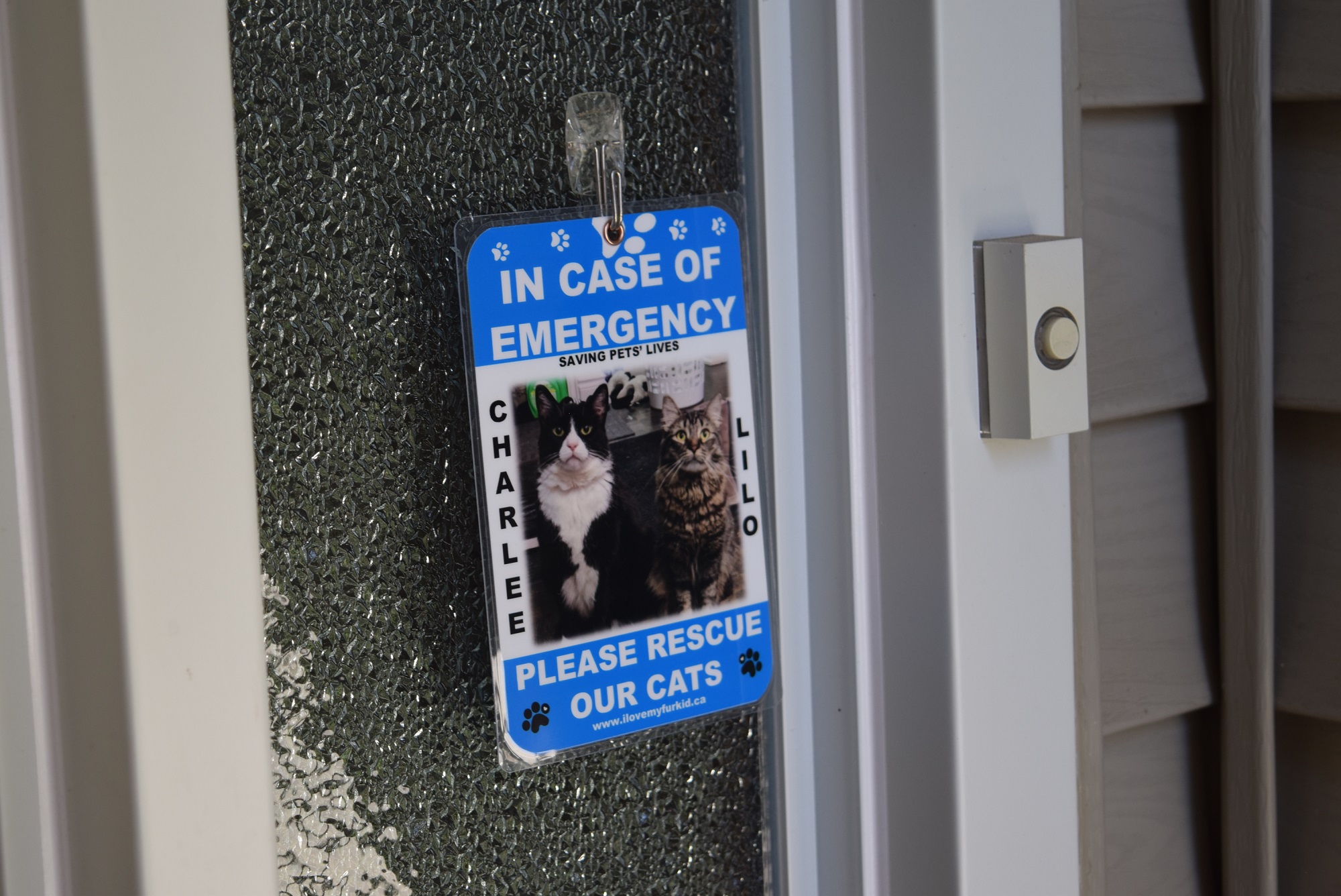 Emergency Pet Signs - I Love My Fur Kid