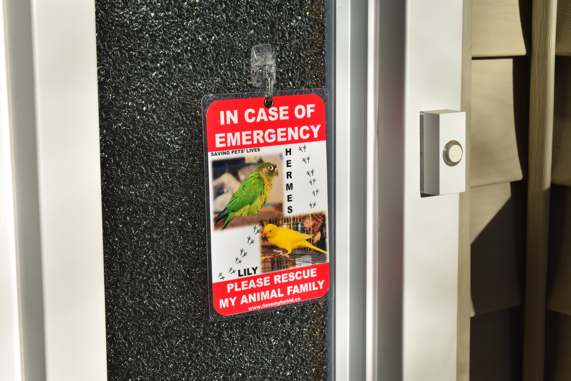 Emergency Pet Signs - I Love My Fur Kid